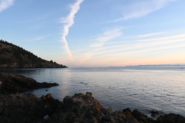 Discover Washington's Whale Trail: A Traveler's Guide