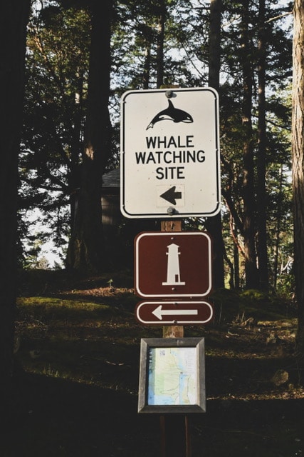 Discover Washington's Whale Trail: A Traveler's Guide