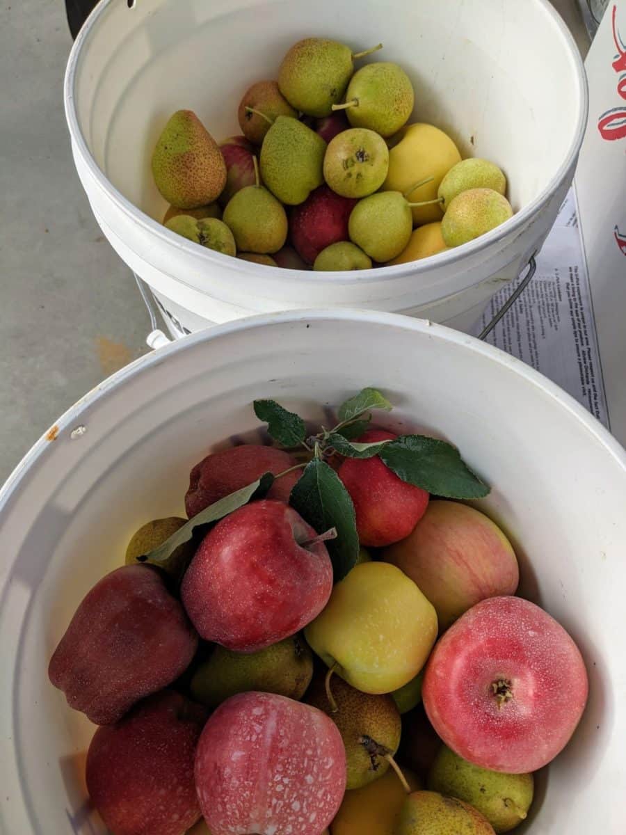 A Visit To Lake Chelan - Explore Washington State