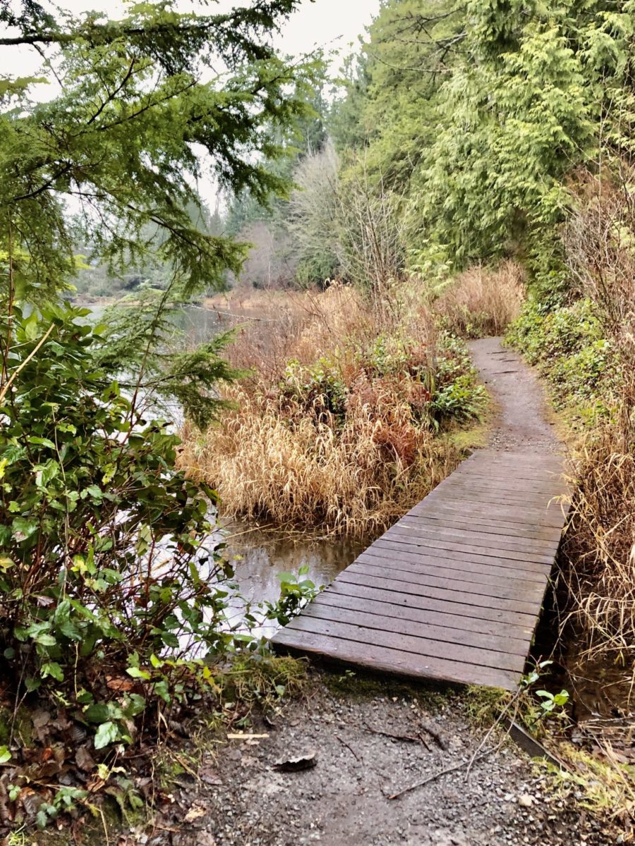 Squires Lake: A Fun Loop Hike With Kids Or Pups! - Explore Washington State
