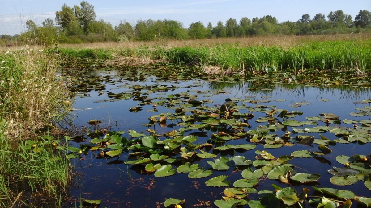 Whirling Through A Weekend In Whatcom County - Explore Washington State