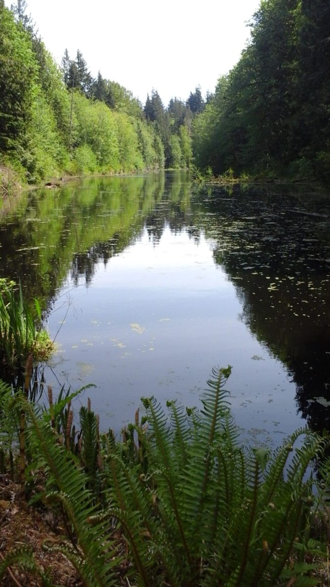 Whirling Through A Weekend In Whatcom County - Explore Washington State