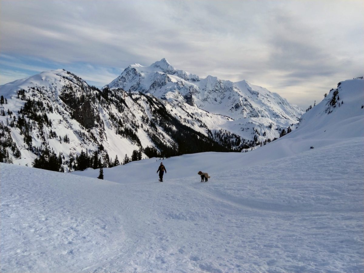 Snowshoeing To Artist Point At Mount Baker - Explore Washington State