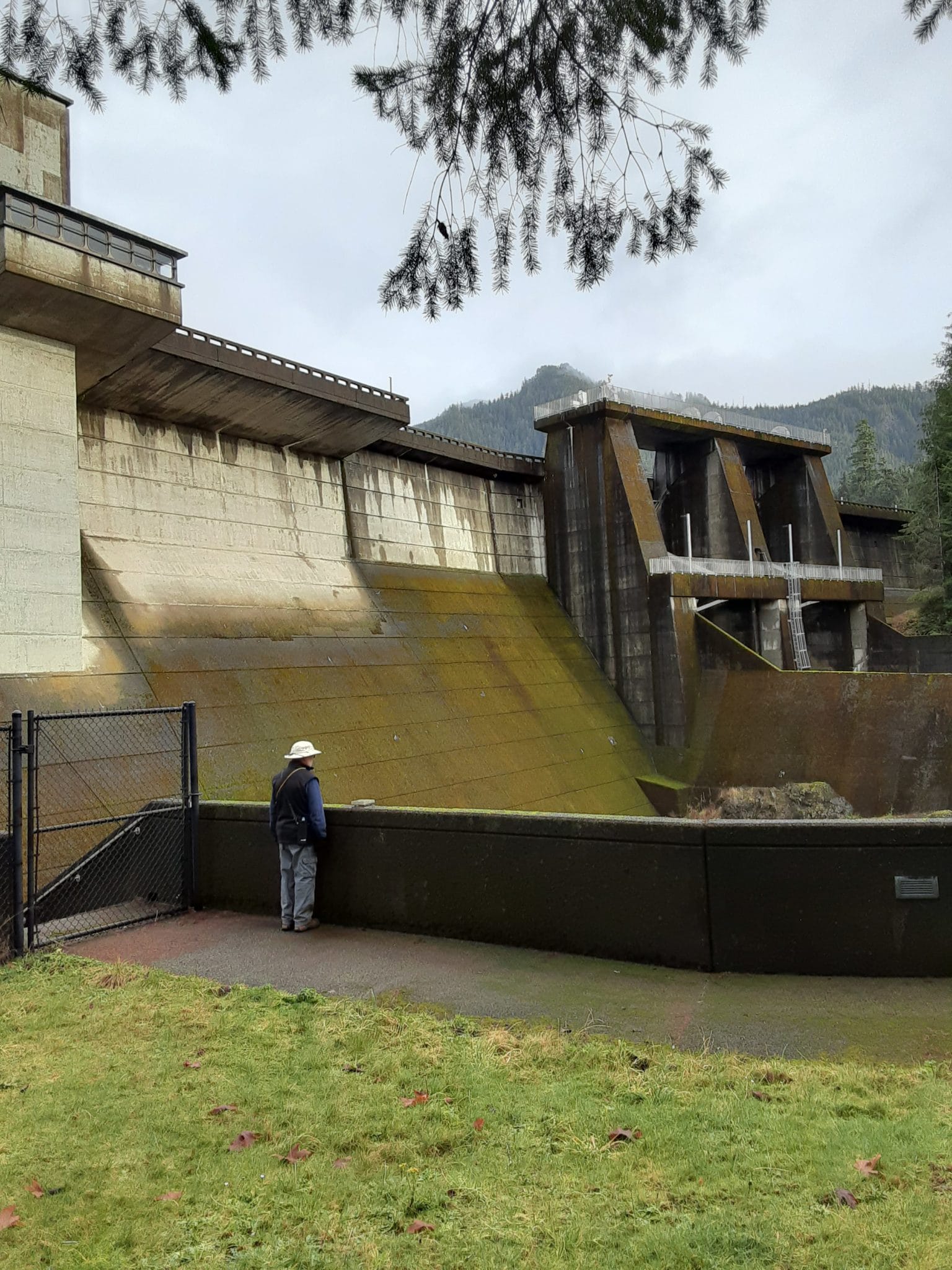 Spending A Day In The Beauty Of Wynoochee Lake - Explore Washington State