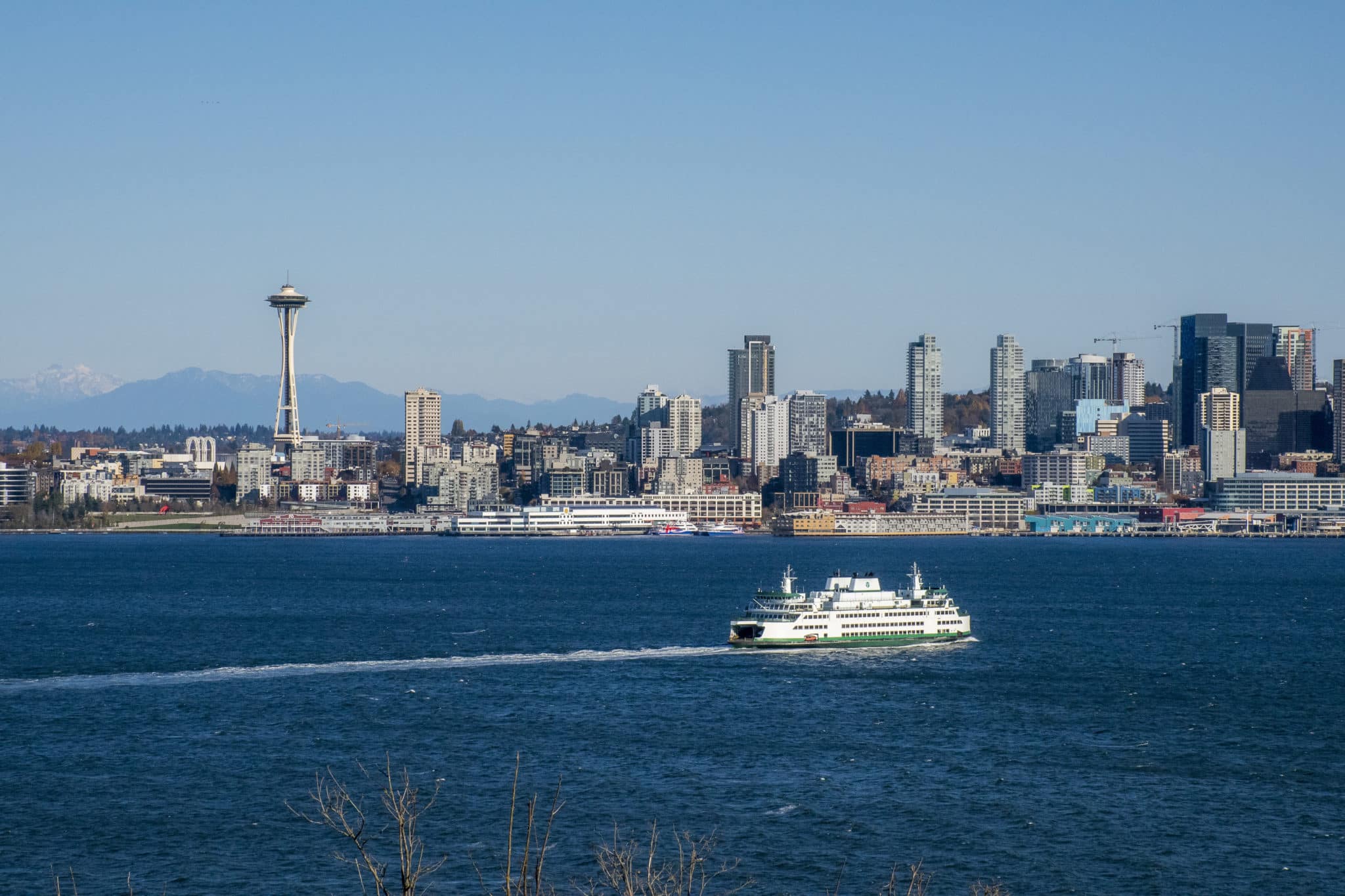 Can You Take Dogs On The Seattle Ferry