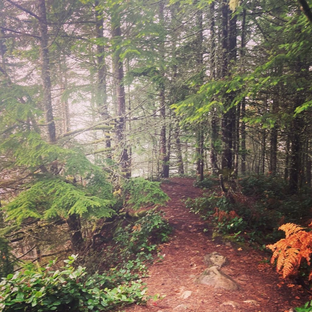 5 Essential Hiking Tips For A Memorable Summer In WA