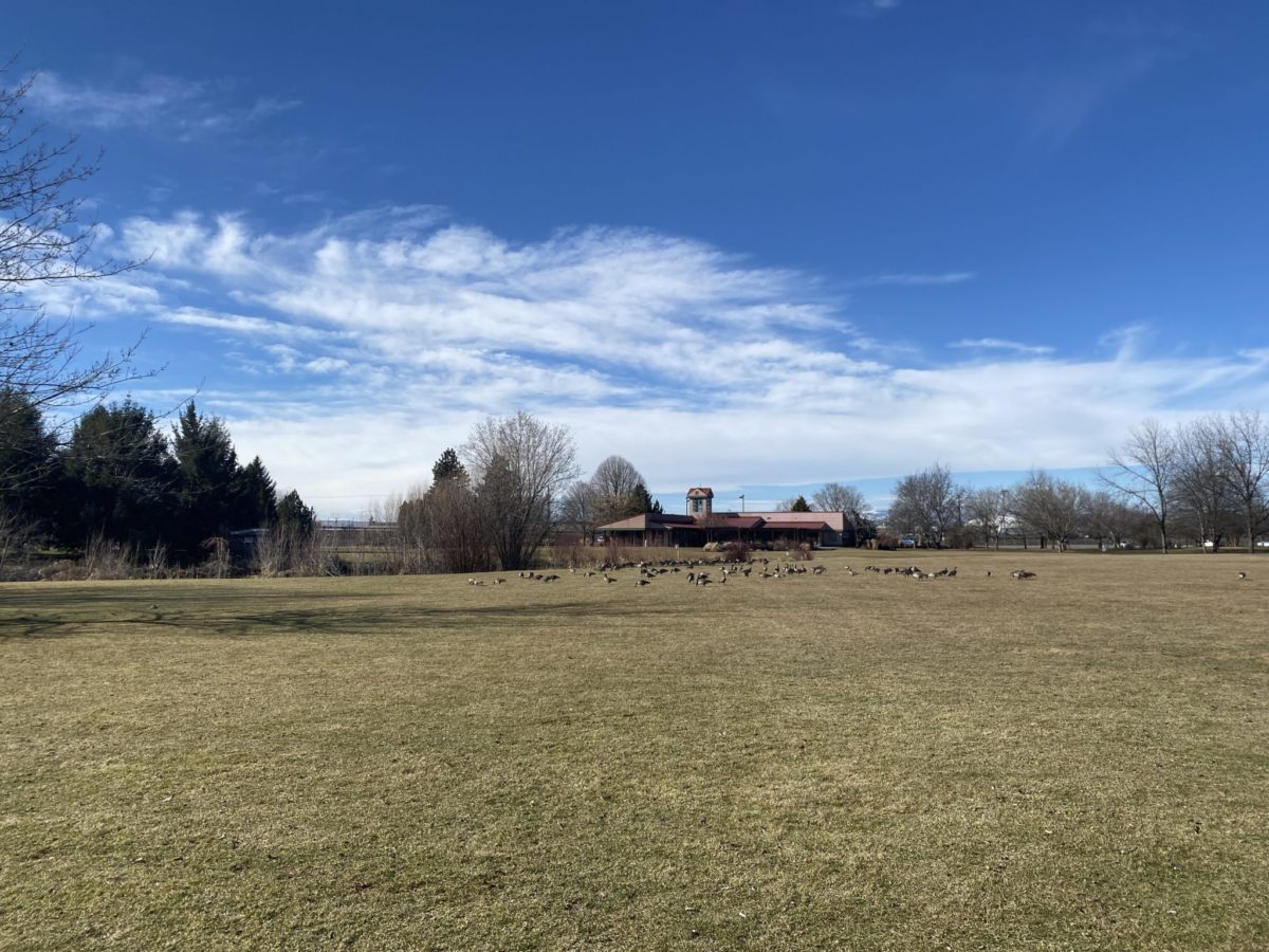 Experience Spring At Yakima Area Arboretum's Beauty