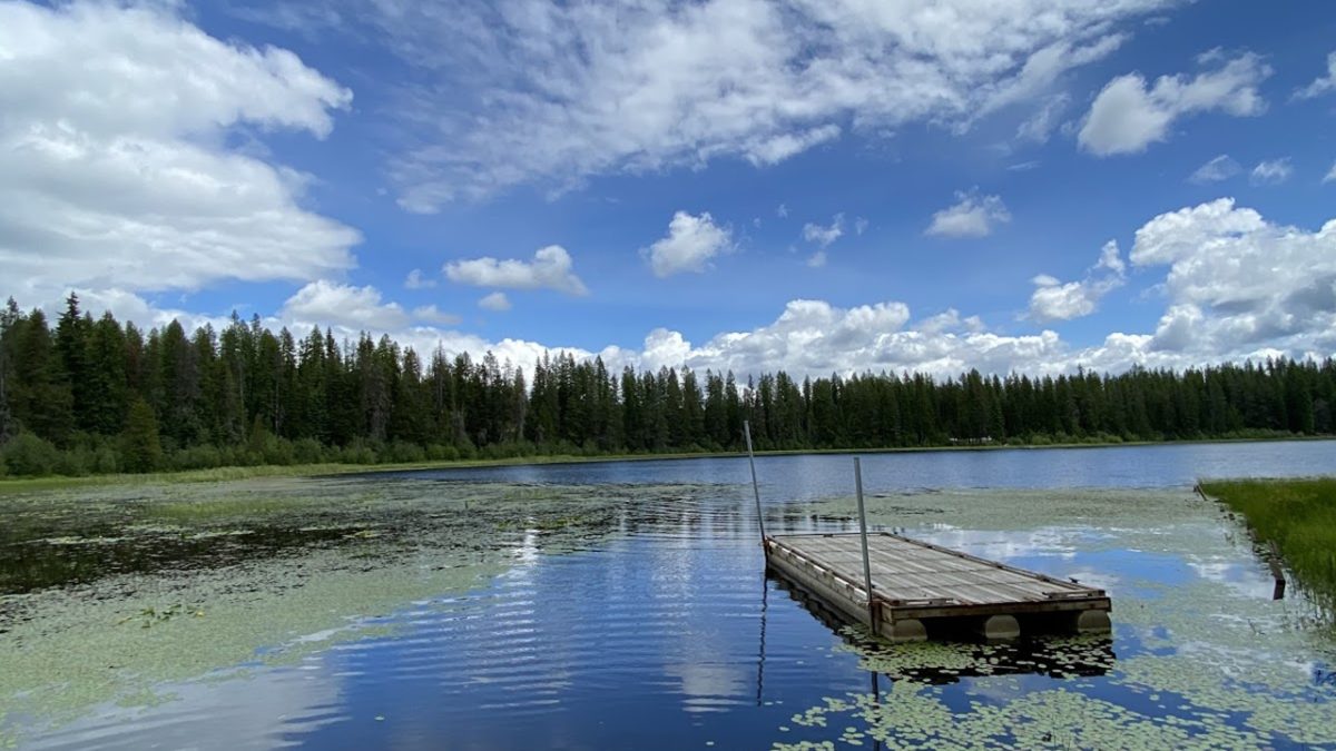 Discover Giant Trolls In Washington: An Epic Adventure