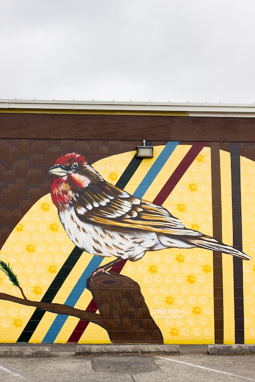 Spend A Day In Sumner: A Charming Washington Getaway