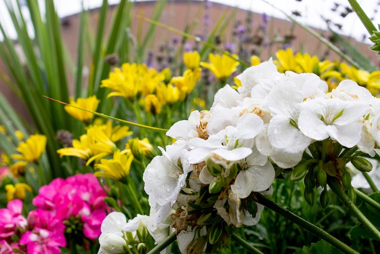 Spending a Day in Sumner - Explore Washington State