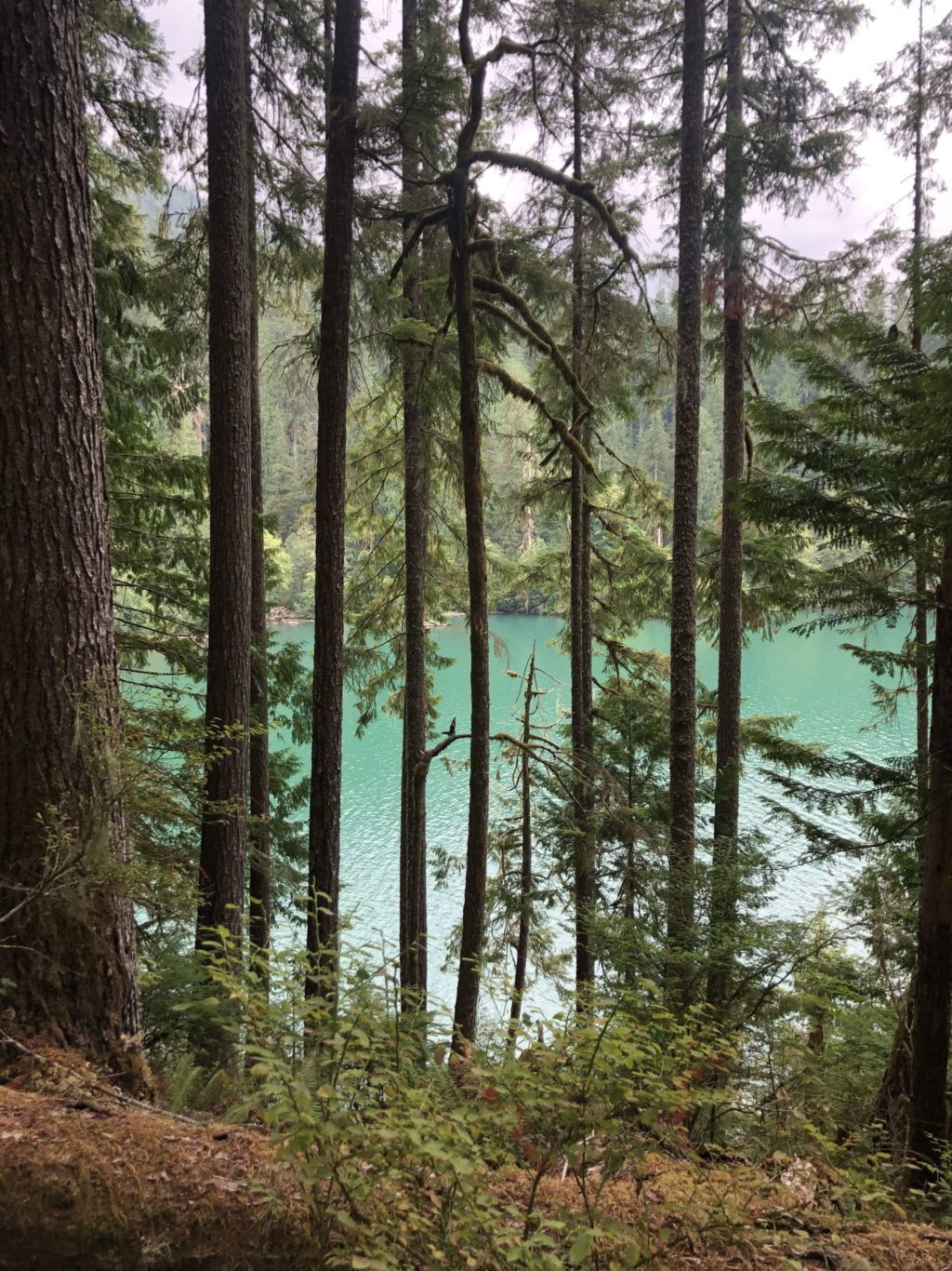 Hiking The Baker Lake Trail: Build Your Own Adventure - Explore ...