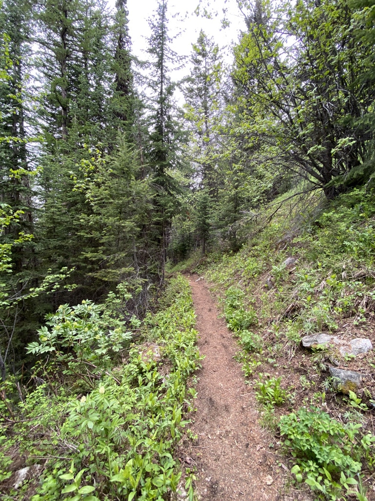Hiking Columbia Mountain Loop Trail - Explore Washington State