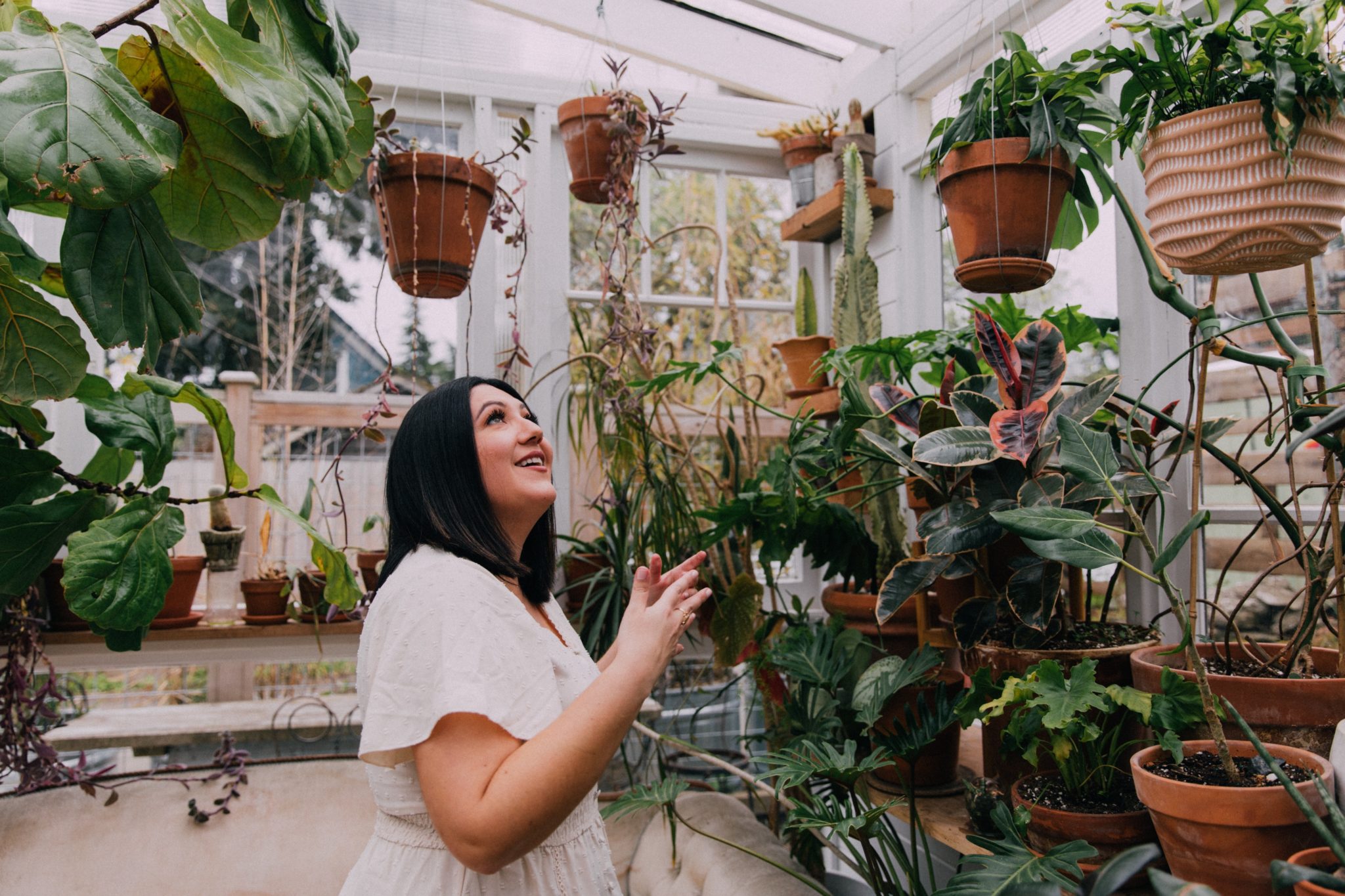 The Seattle Greenhouse: An Intimate And Unique Venue - Explore ...