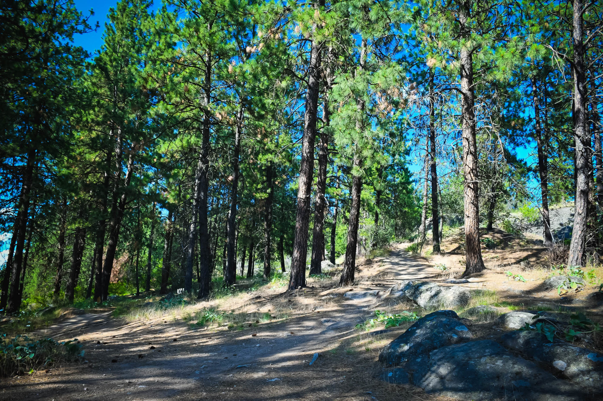 Discover Five Stunning Parks And Hikes Near Spokane