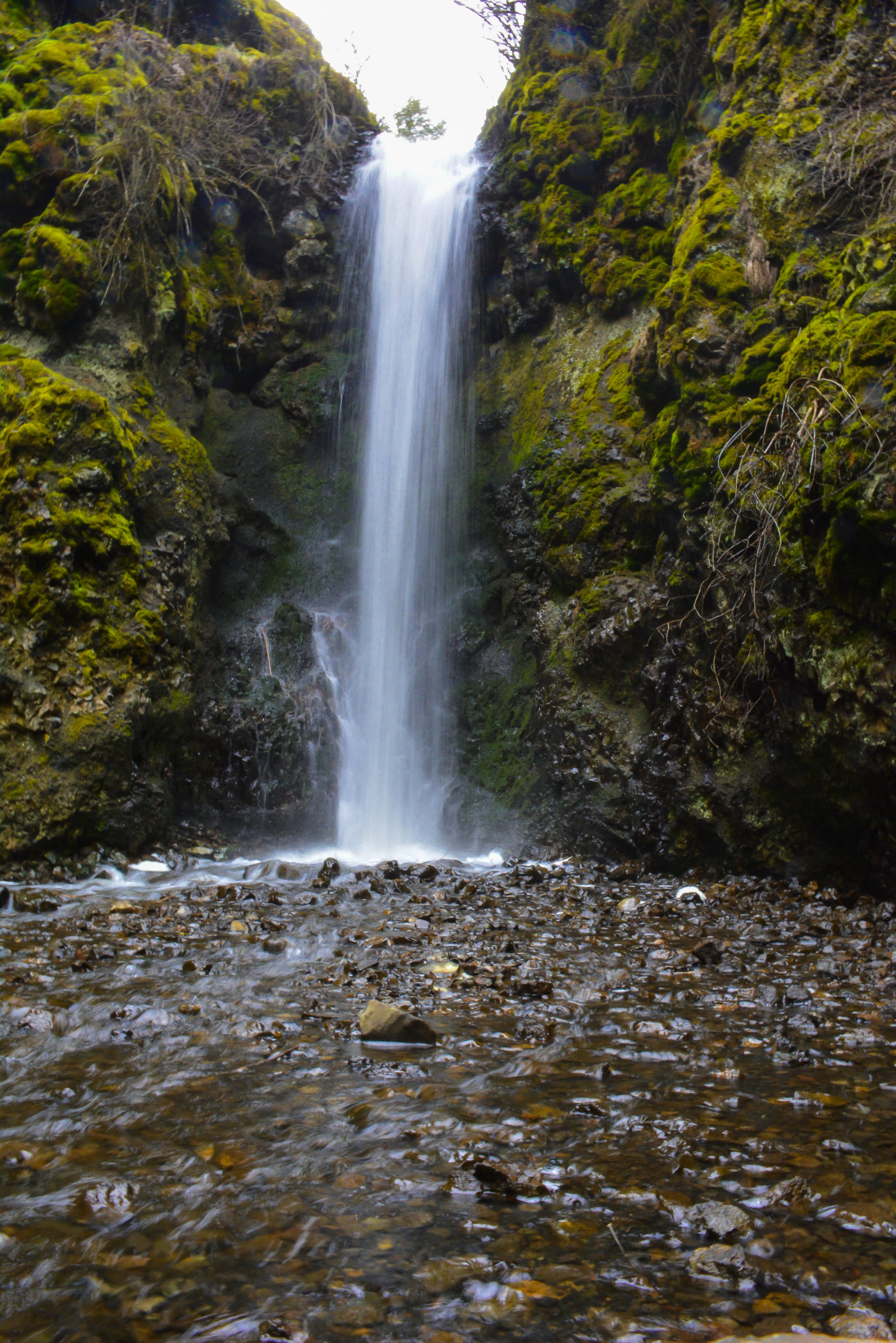 Discover Five Stunning Parks And Hikes Near Spokane