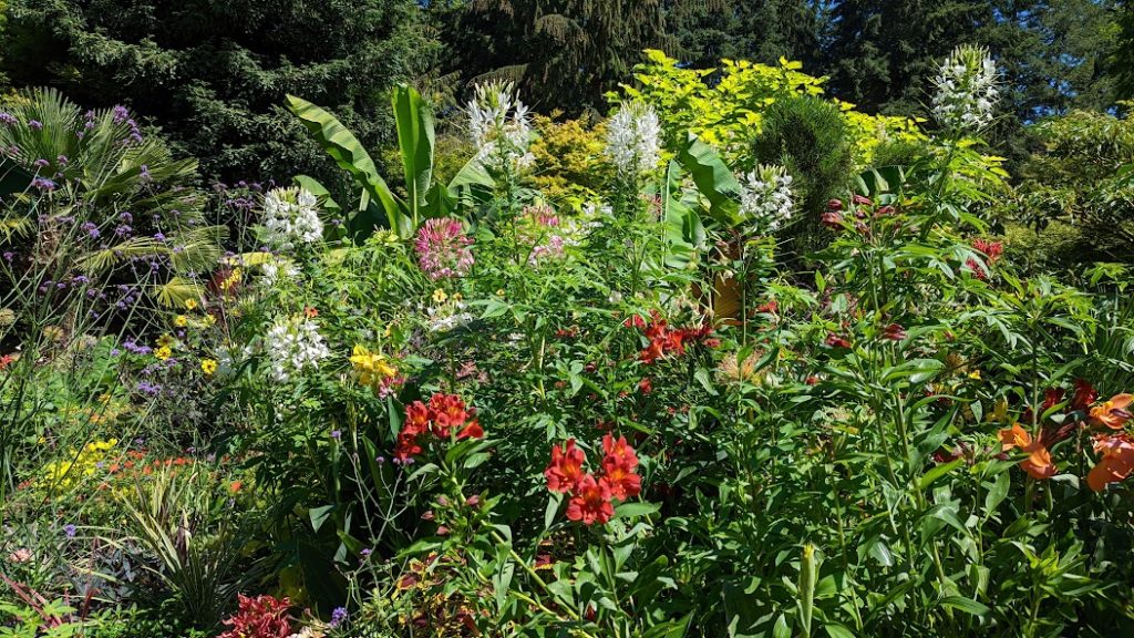 Perennial Paradise at PowellsWood: A Northwest Garden - Explore ...