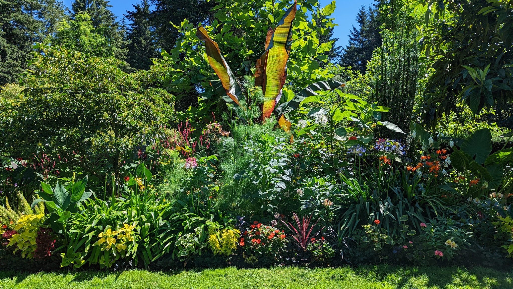 Discover PowellsWood: A Hidden Garden Gem In Washington