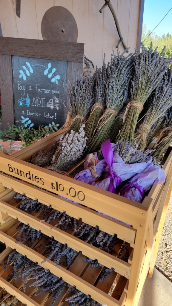 Visiting Green Bluff Farms Near Spokane - Explore Washington State