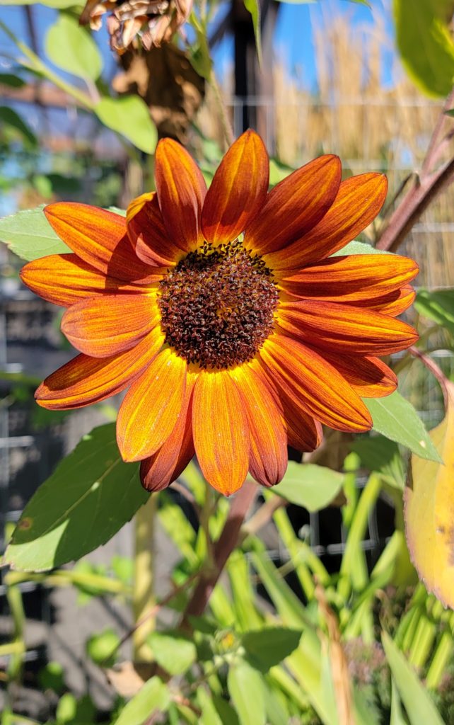 Visiting Green Bluff Farms Near Spokane - Explore Washington State