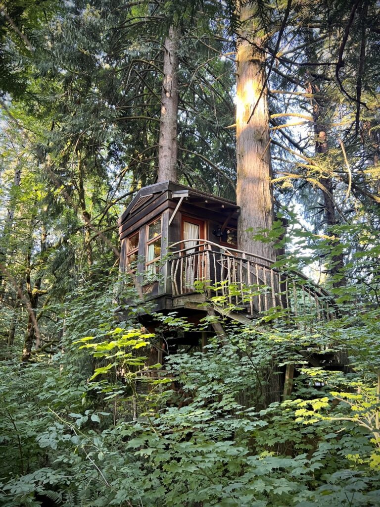 Exploring Treehouse Point - Explore Washington State