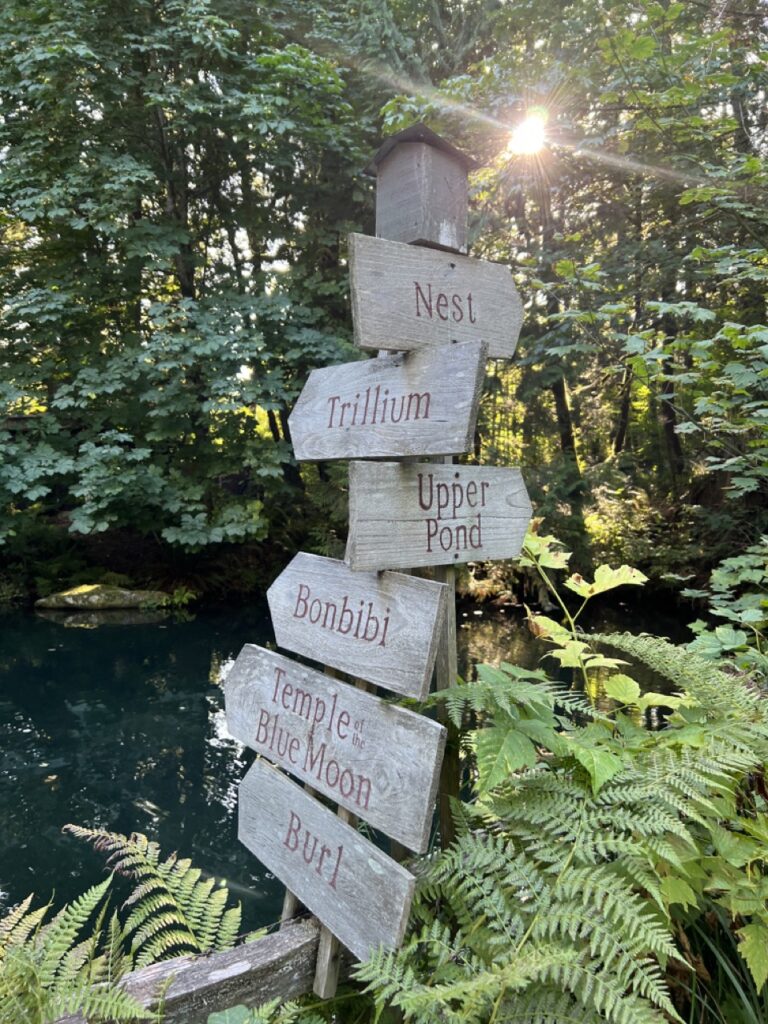 Exploring Treehouse Point - Explore Washington State