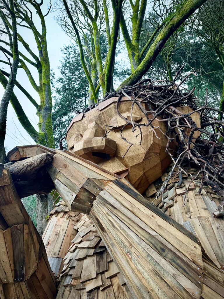 Thomas Dambo's Giant Trolls the Ultimate Adventure - Explore Washington ...