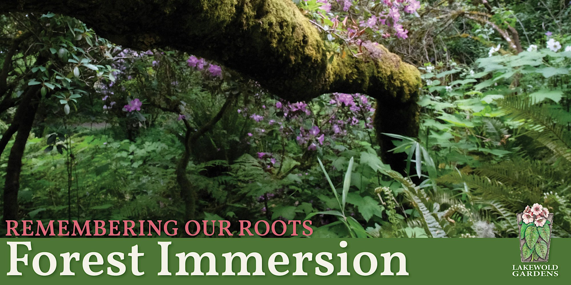 Remembering Our Roots Forest Immersion - Explore Washington State