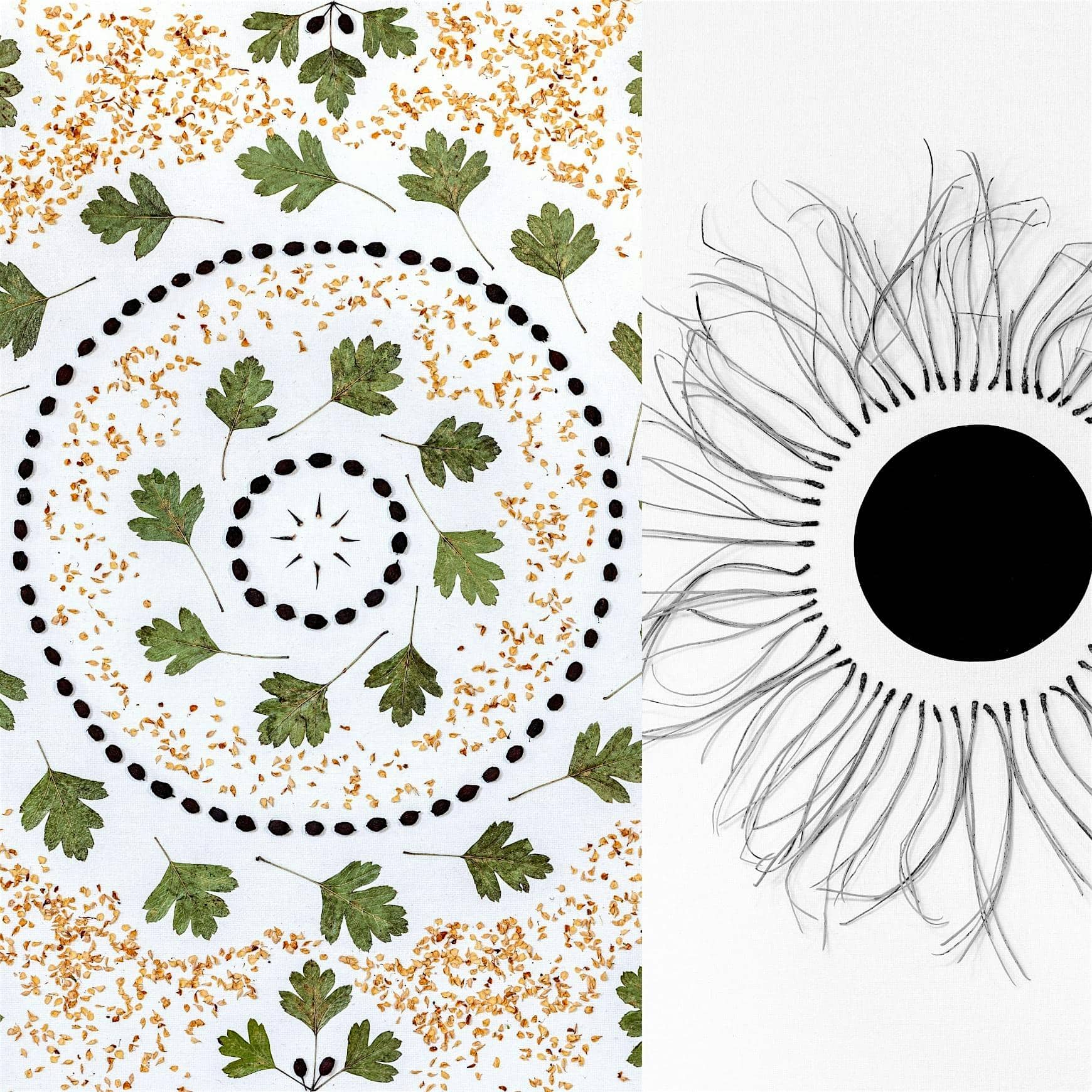 Free Art Walk: Foraged Nature Art: A Journey through the Underworld ...