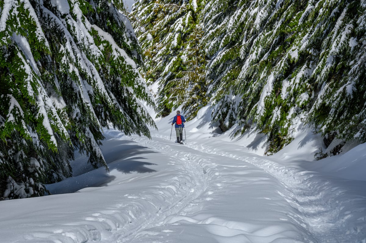 6 Fun Beginner Snowshoe Hikes In Washington - Explore Washington State