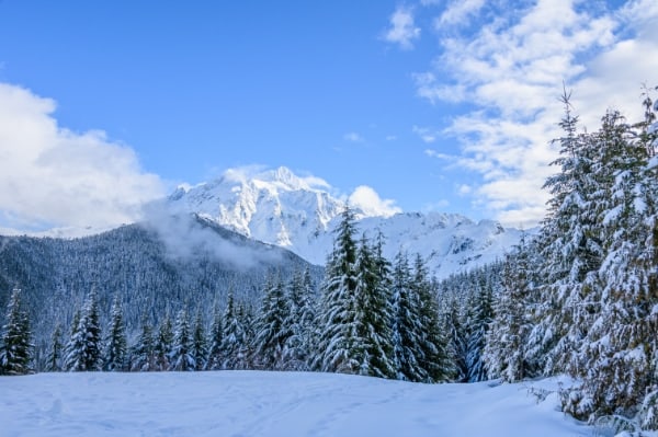 6 Fun Beginner Snowshoe Hikes In Washington - Explore Washington State