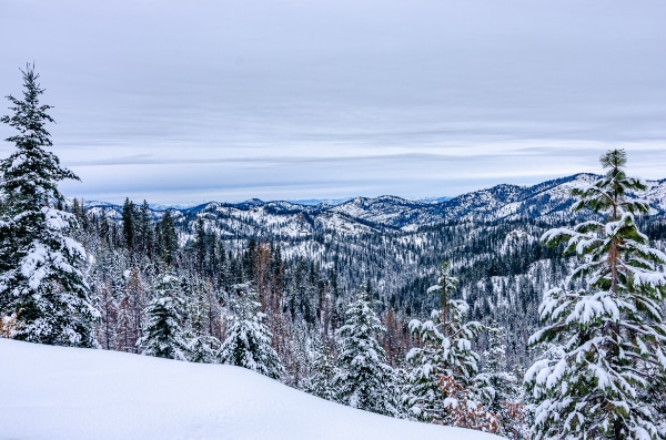 6 Fun Beginner Snowshoe Hikes In Washington - Explore Washington State