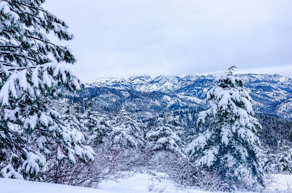 6 Fun Beginner Snowshoe Hikes In Washington - Explore Washington State